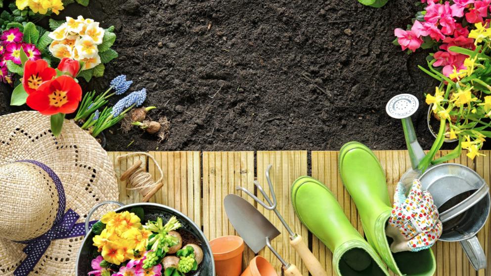 Aktuális kerti teendők: április - kert.tv