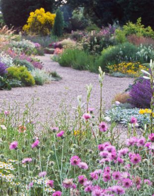 Kert.Tv / Hobbikertészeti magazin McMenemy Márkkal