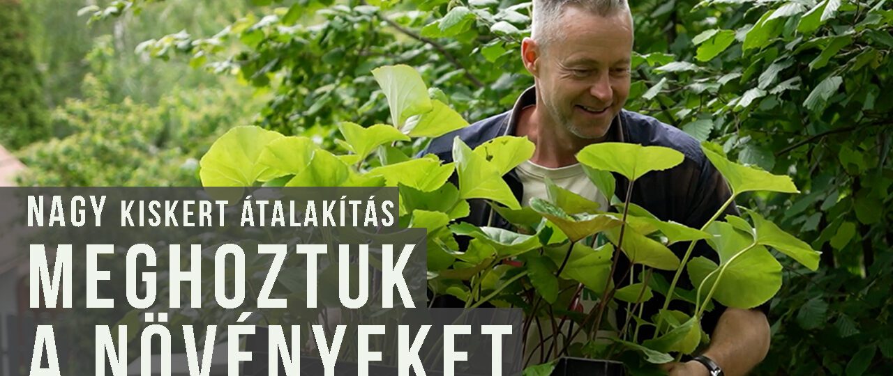 Kert.Tv / Hobbikertészeti magazin McMenemy Márkkal